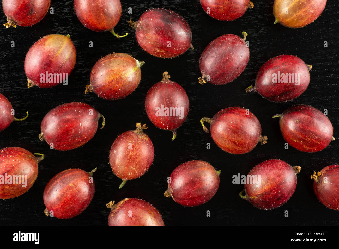 Gooseberry hinnomaki red hi-res stock photography and images - Alamy