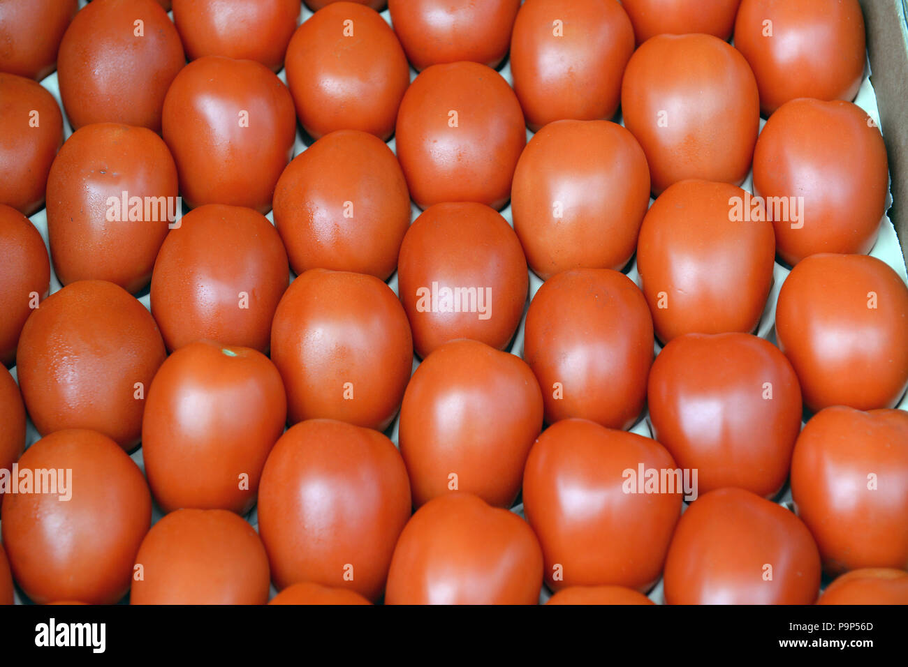 tomatoes on the counter of the store Stock Photo - Alamy