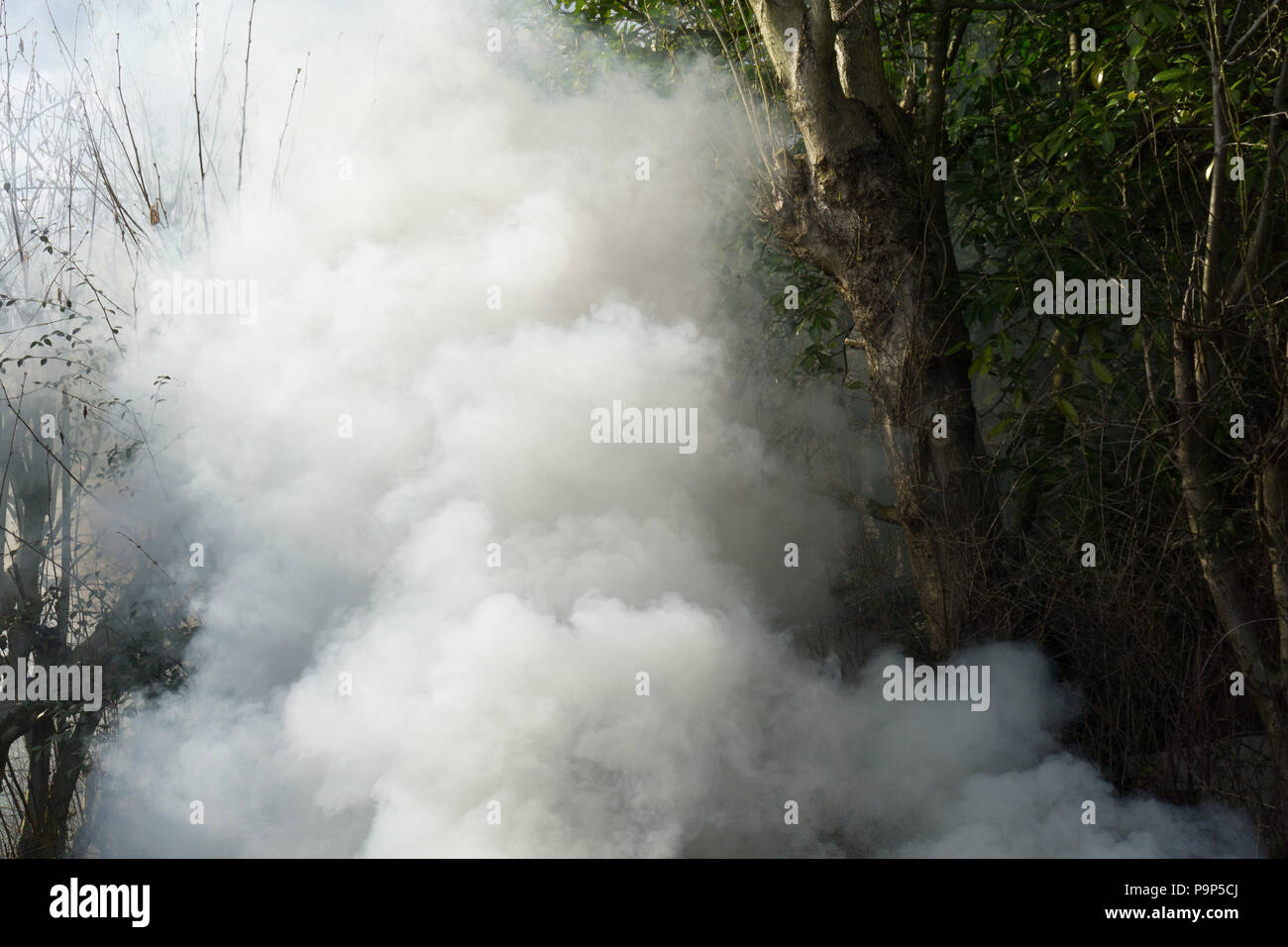 Thick smoke plumes hi-res stock photography and images - Alamy