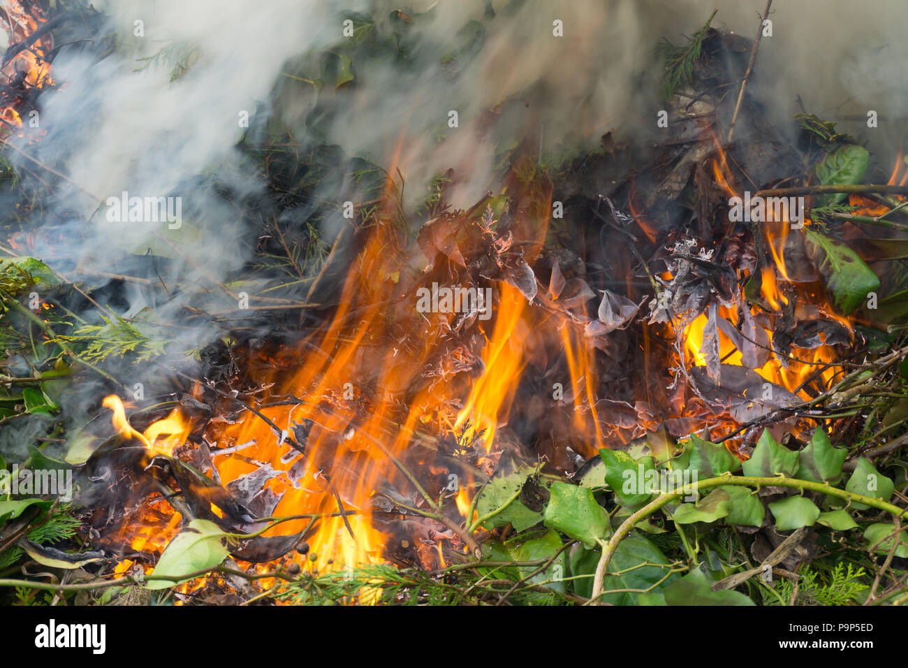 Garden Bonfire Leaves High Resolution Stock Photography and Images - Alamy