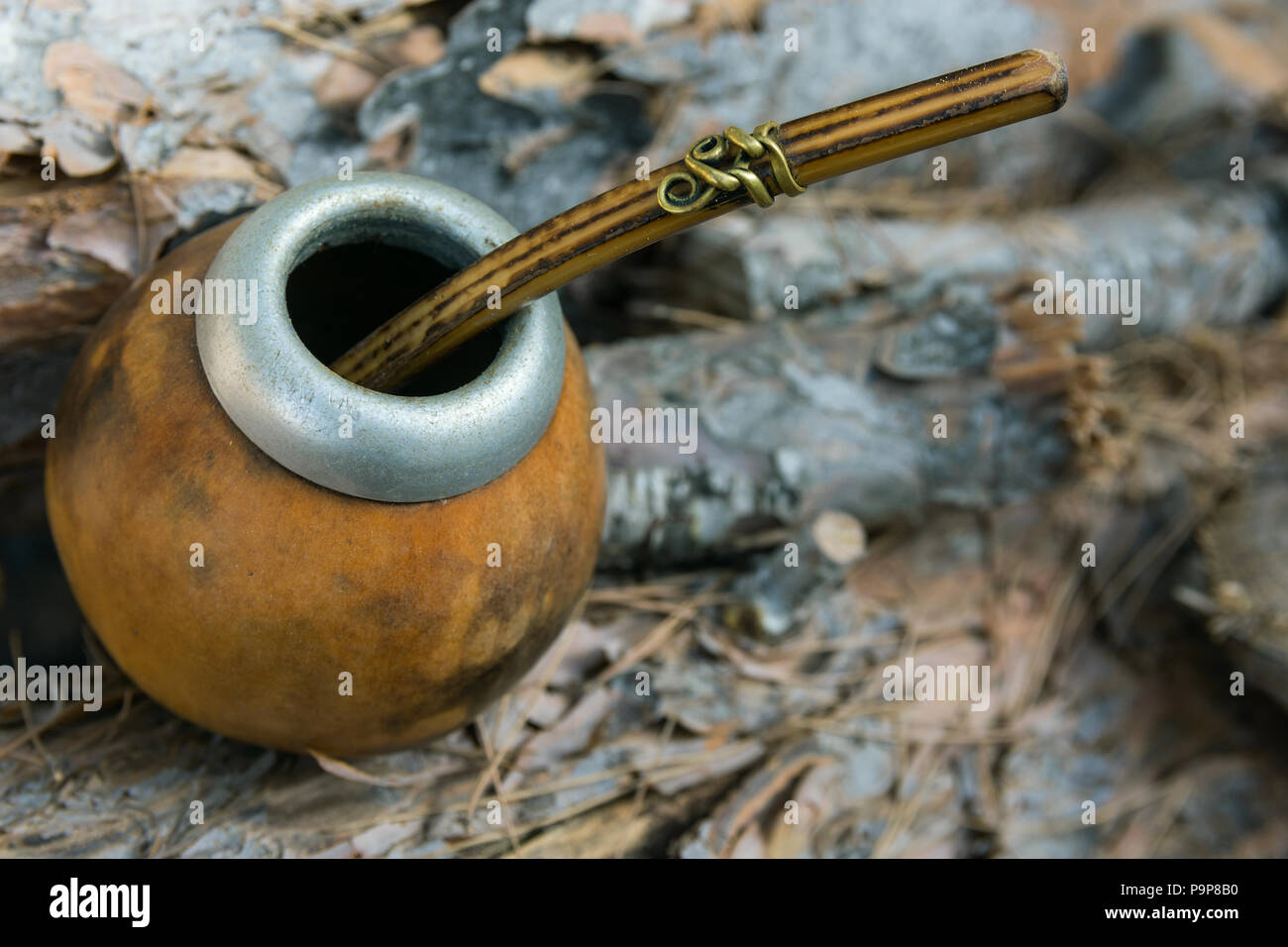 Hand Crafted Artisanal Yerba Mate Tea Leather Calabash Gourd with Straw ...