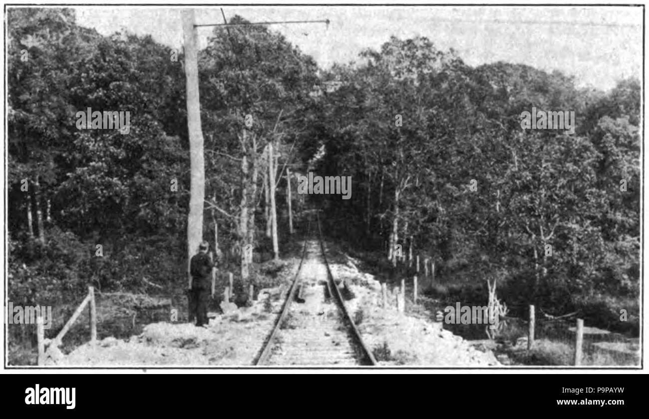 Woodland natural Black and White Stock Photos & Images - Alamy