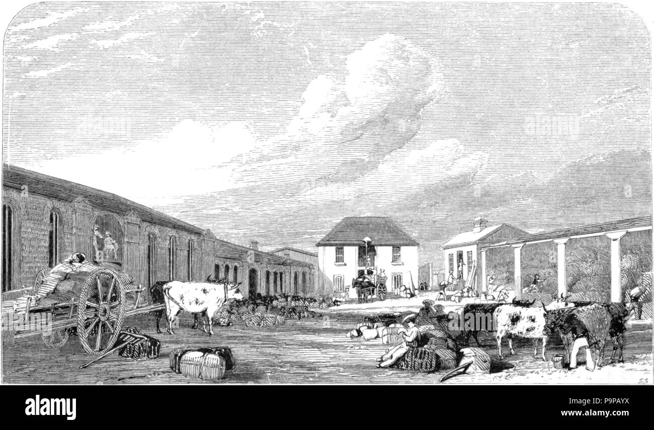 Landmarks of geelong australia hi-res stock photography and images - Alamy