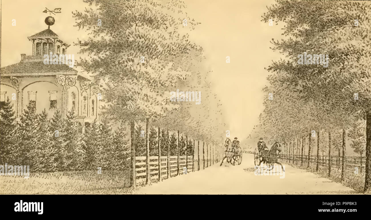 House 1879 hi-res stock photography and images - Alamy