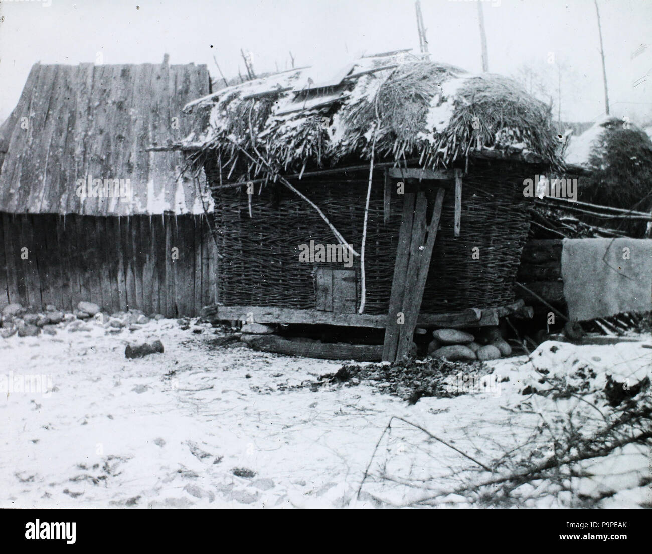 Storing maize hi-res stock photography and images - Alamy