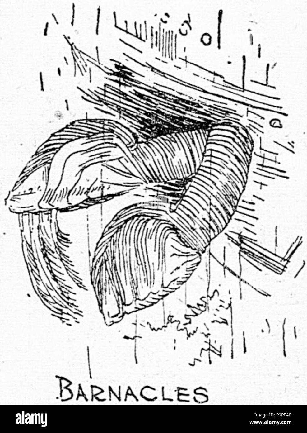 1922 illustration hi-res stock photography and images - Alamy