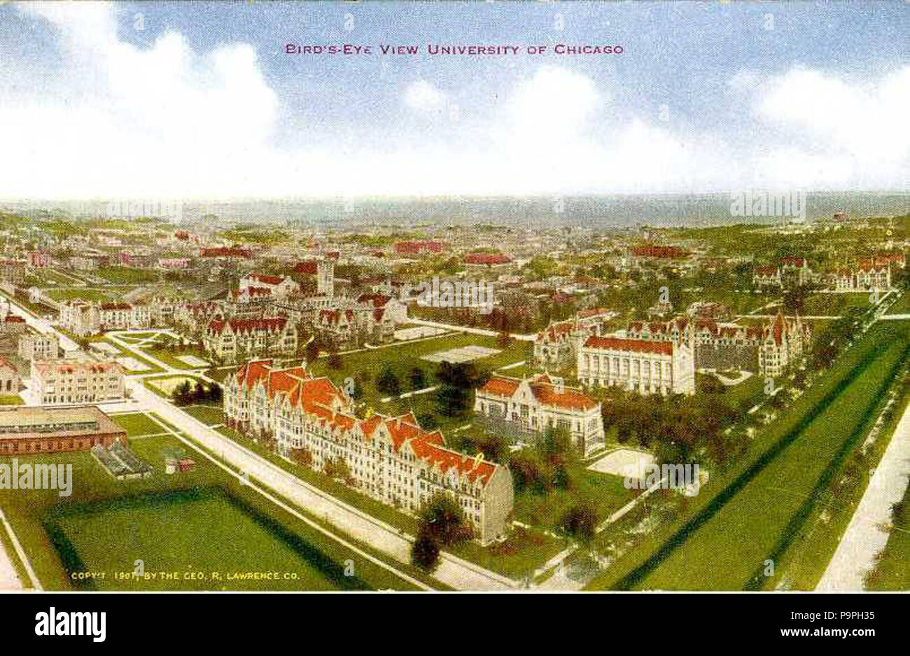 Chicago birds hi-res stock photography and images - Alamy