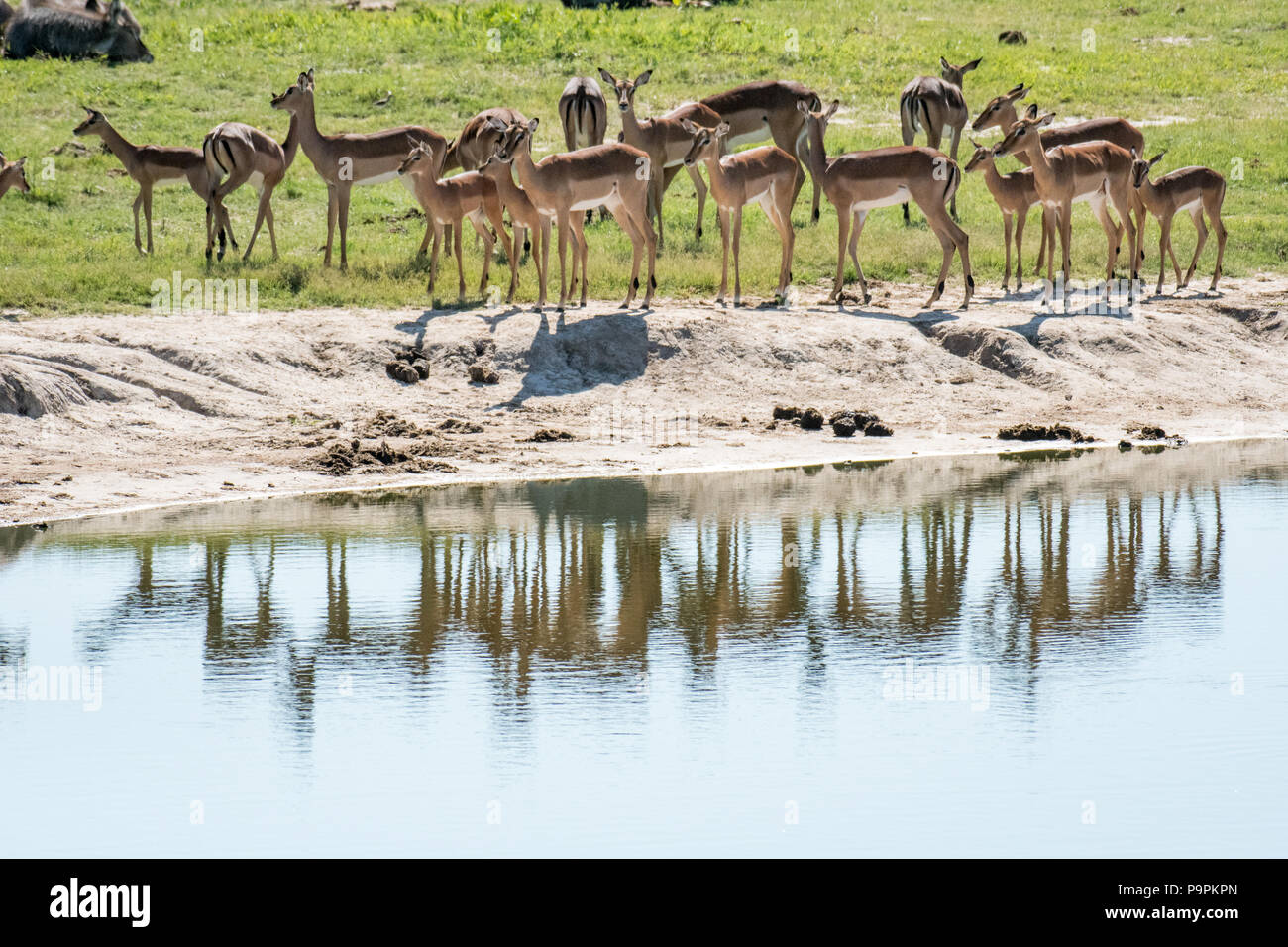 Congregate hi-res stock photography and images - Alamy