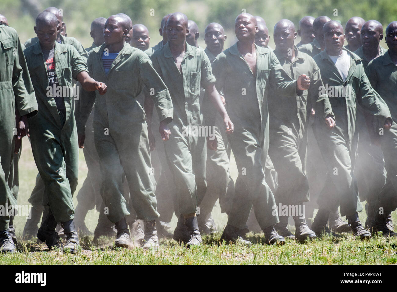 Zimbabwe Armed Forces