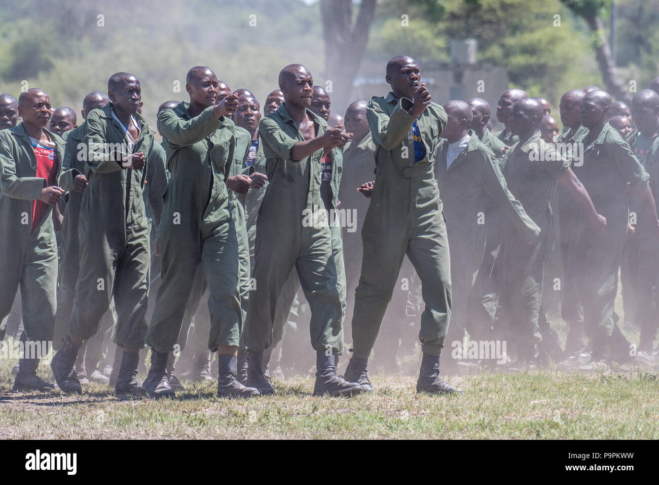 Zimbabwe Armed Forces