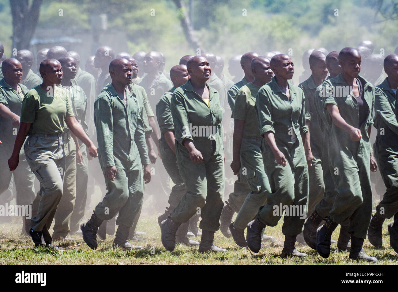 Zimbabwe Armed Forces