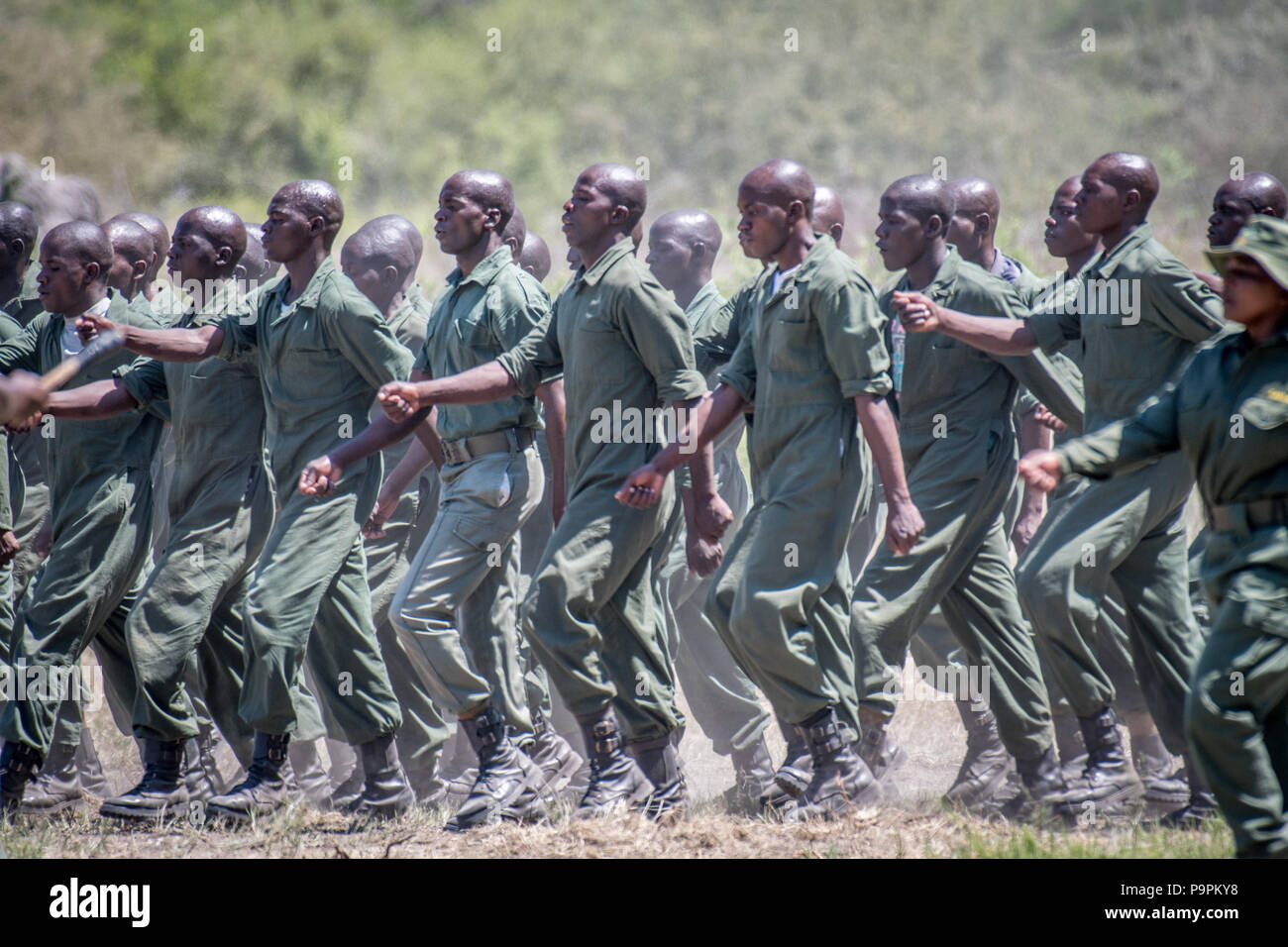 Zimbabwe Armed Forces