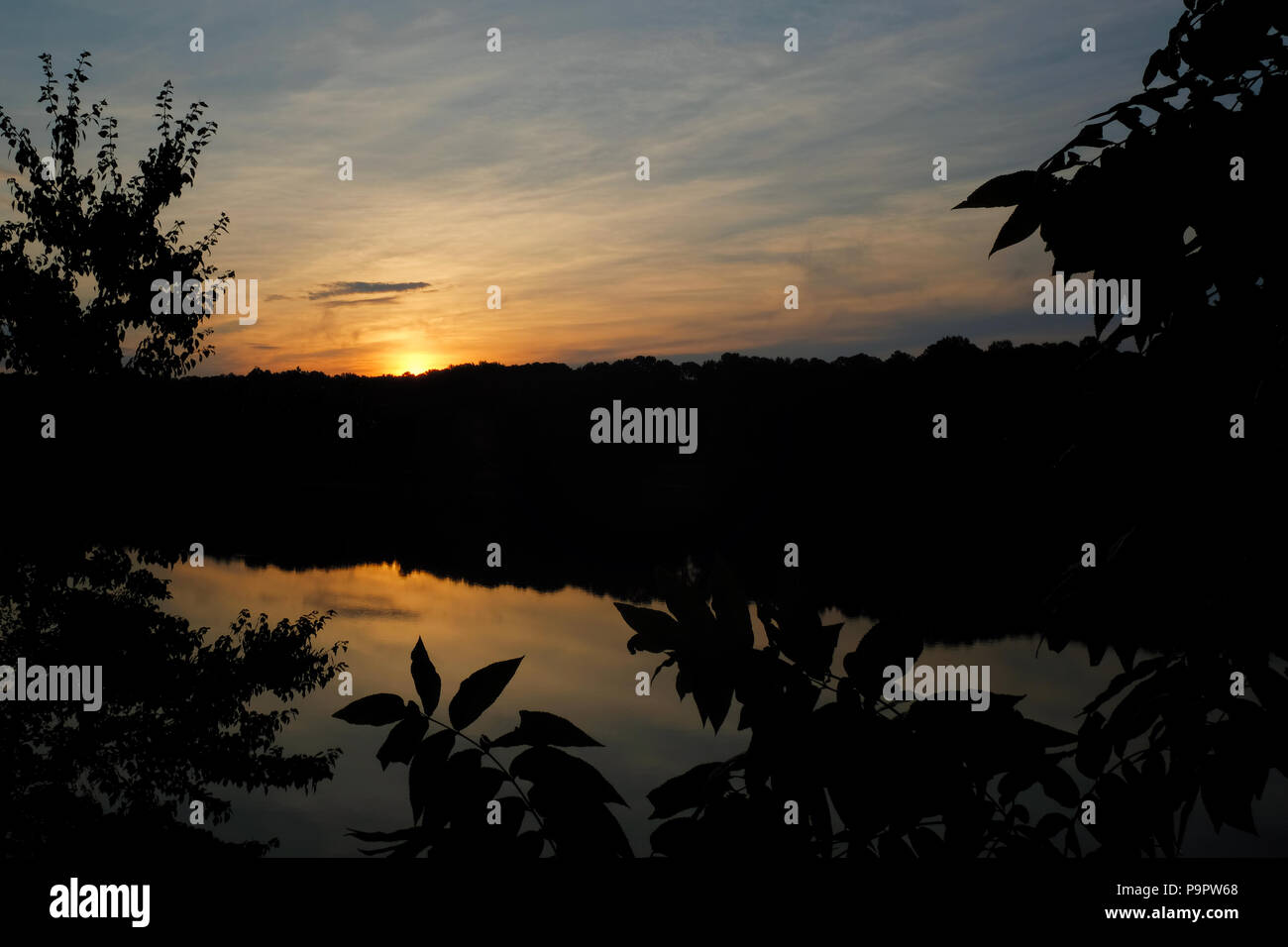 A golden sunrise at Shelley Lake Park in Raleigh North Carolina Stock ...