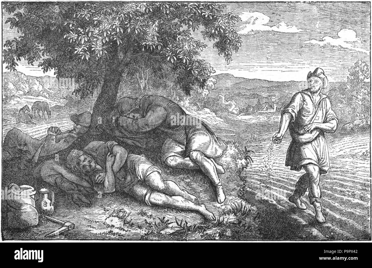 Tares hi-res stock photography and images - Alamy