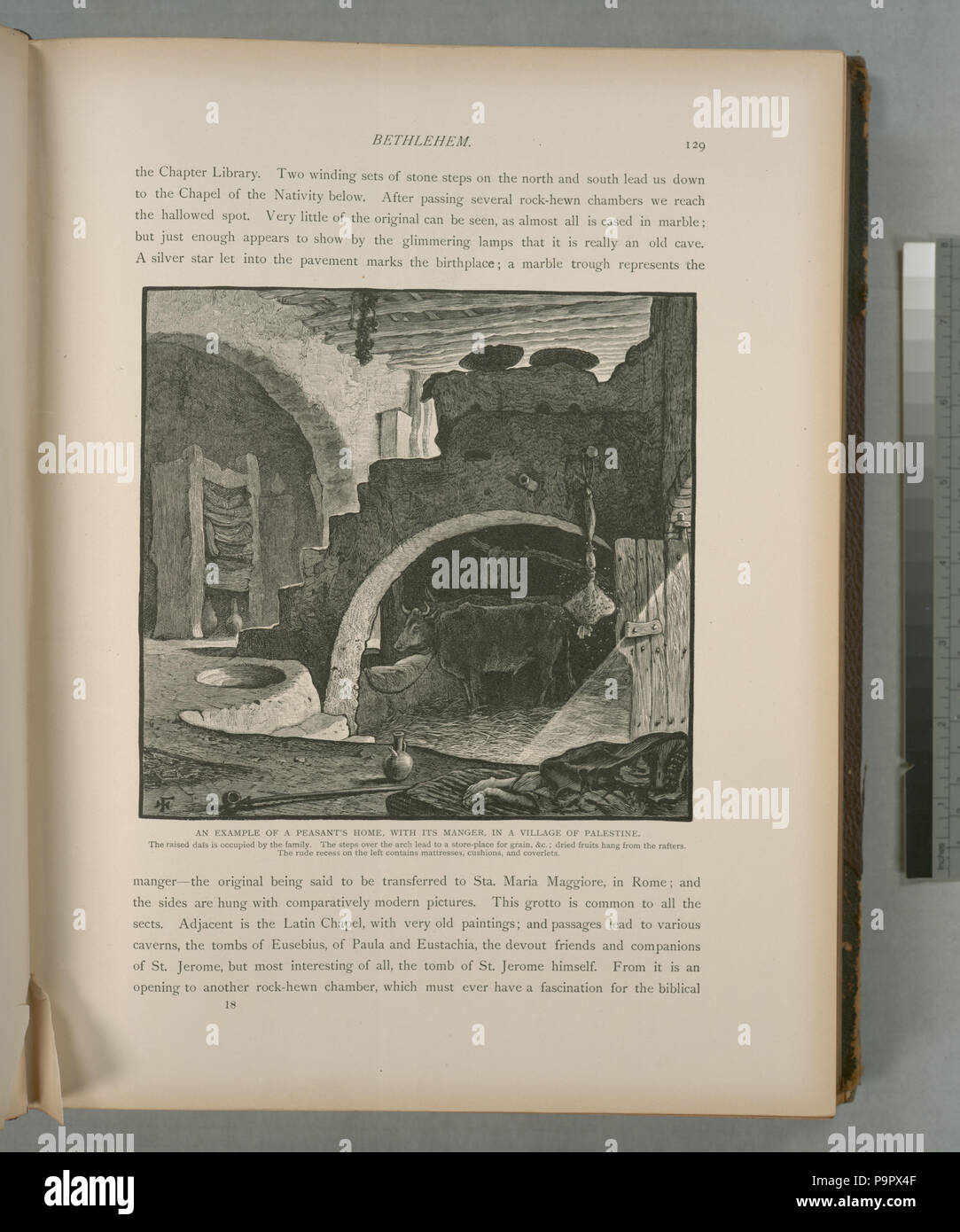 Raised grain hi-res stock photography and images - Alamy