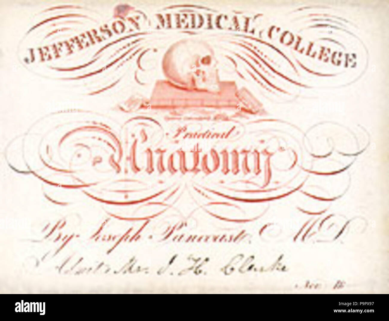 128 Anatomy Ticket 1842 Stock Photo - Alamy