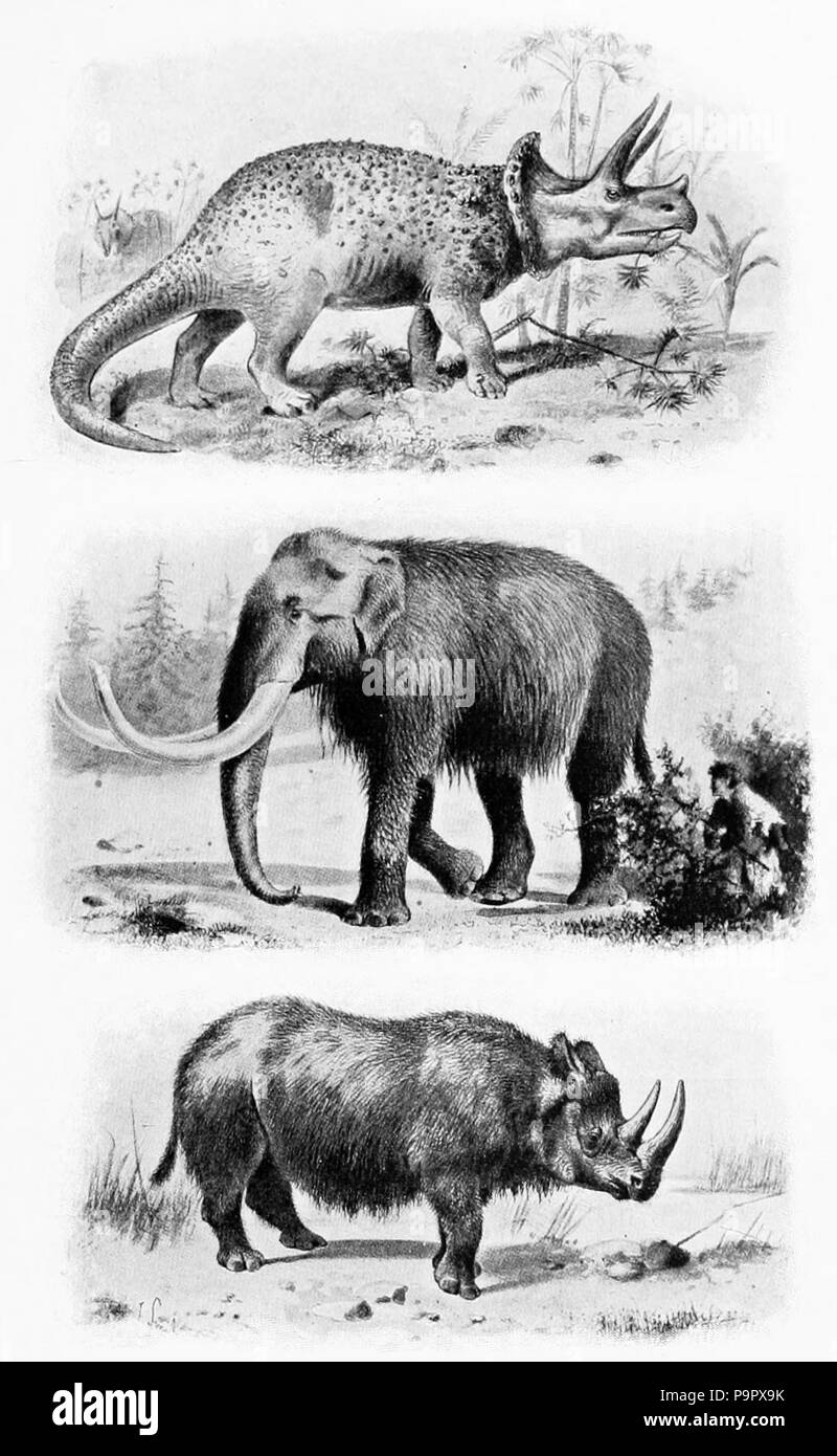 128 Ancient animals from Centennial History of Oregon Stock Photo - Alamy