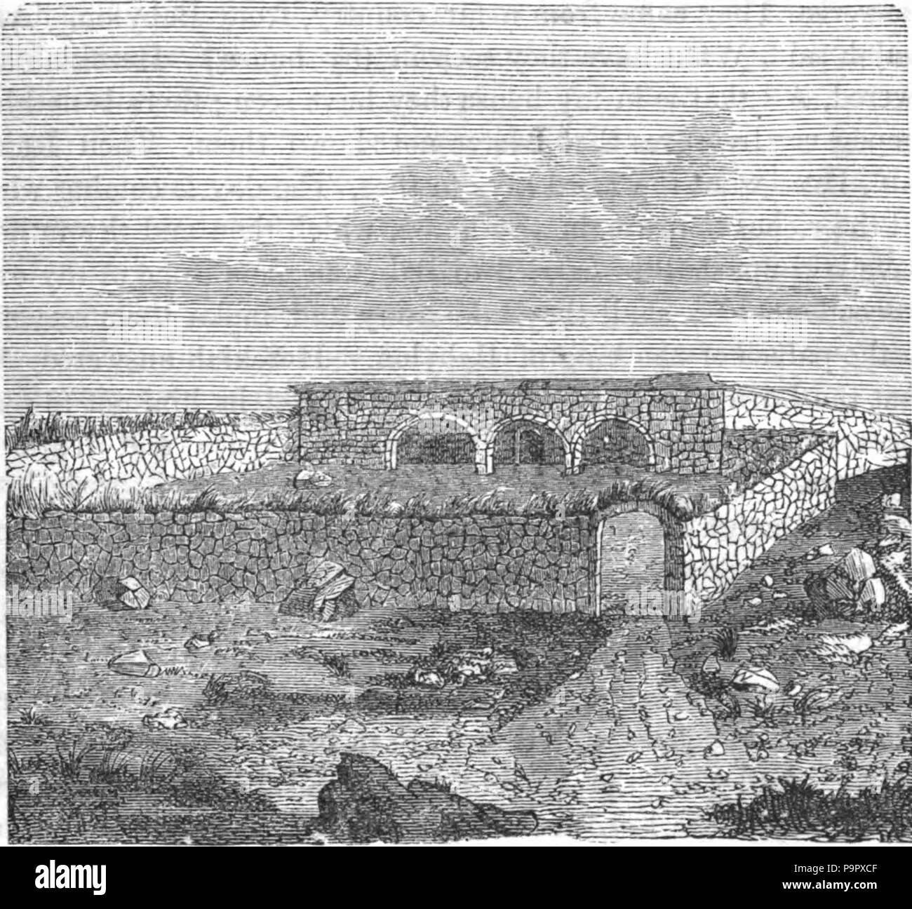 Ancient domestication hi-res stock photography and images - Alamy