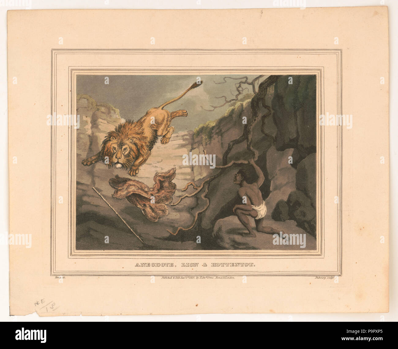 . English: Title: Anecdote, lion & hottentot Physical description: 1 ...