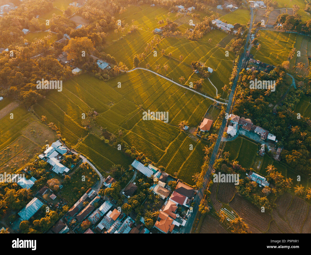 Aerial drone view of the beautiful landscape of Bali, Indonesia Stock ...