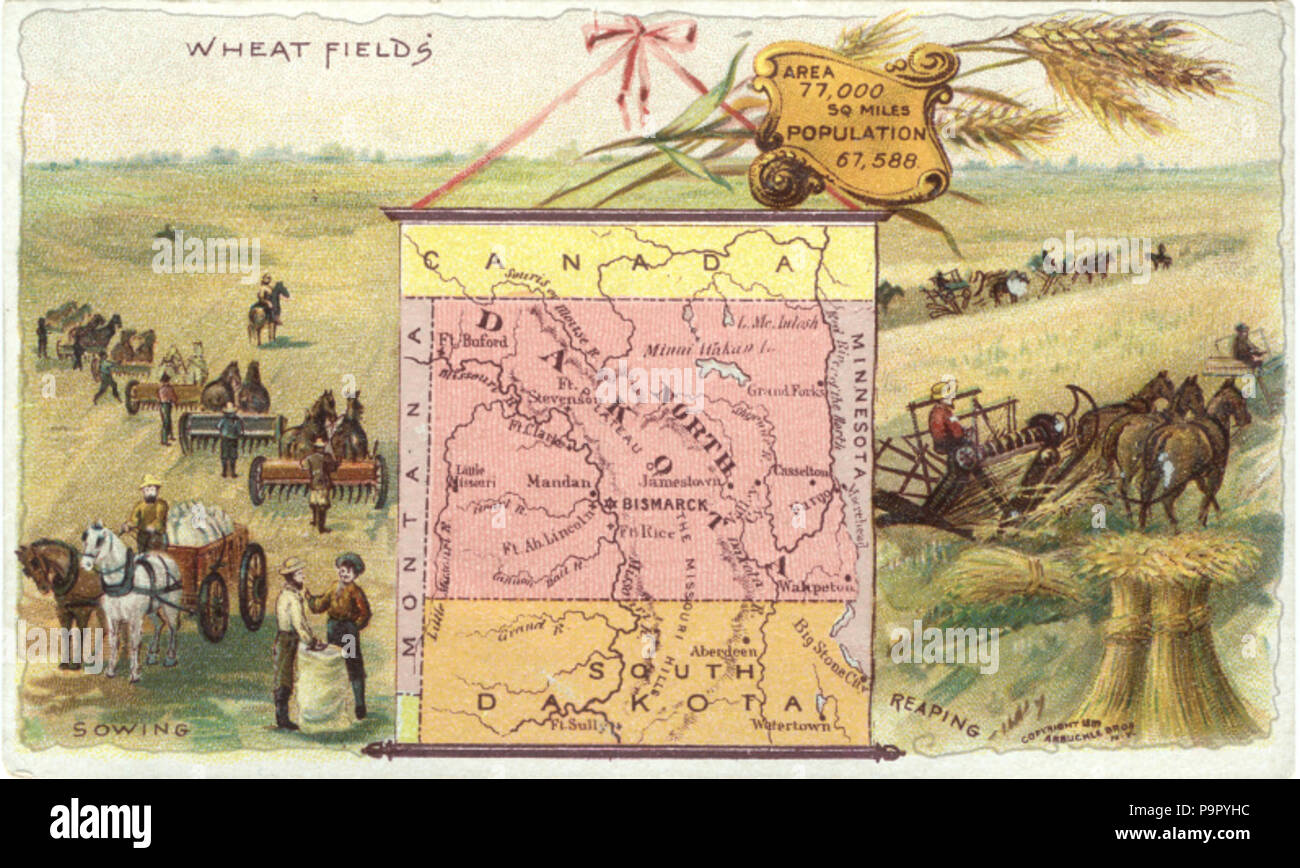 Harvesting wheat by horse hi-res stock photography and images - Alamy