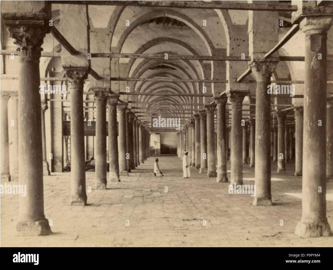 147 Arcades in the Mosque of 'Amr ibn al-'As Stock Photo - Alamy