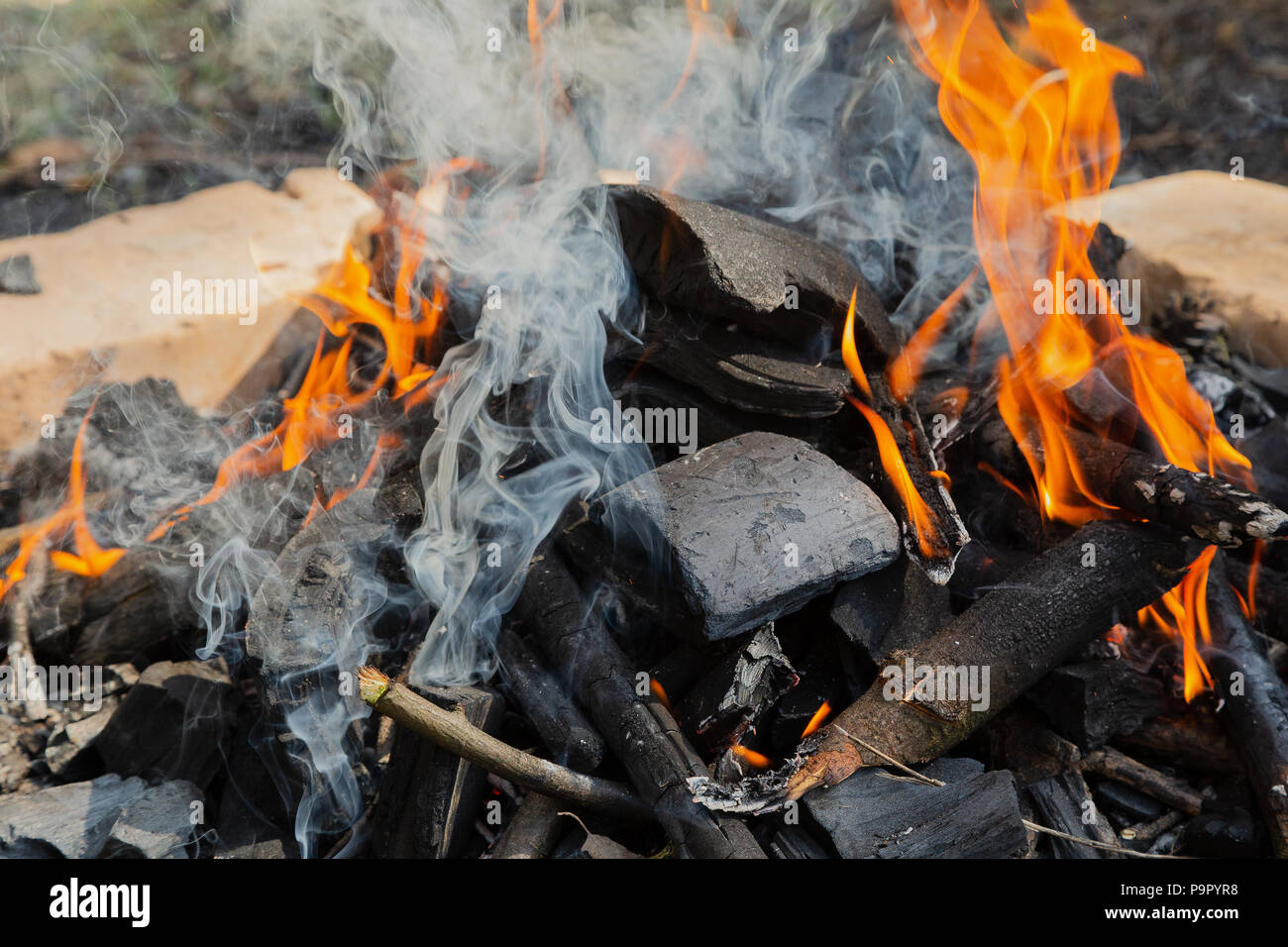 The fire burns in the forest on a bright day Stock Photo - Alamy