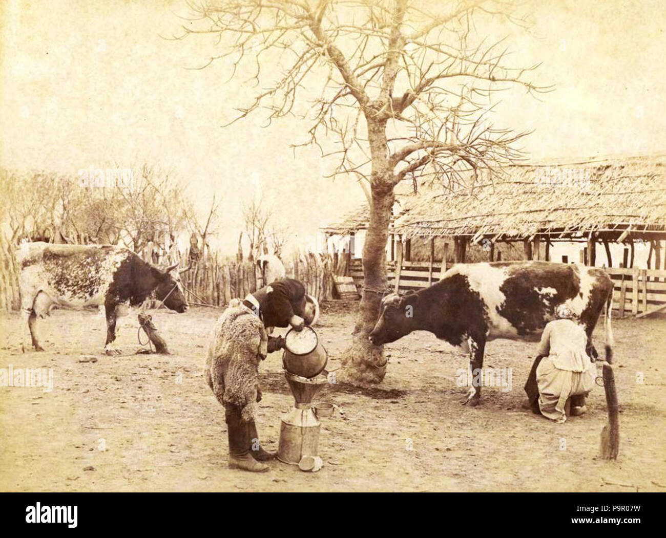 Ordene hi-res stock photography and images - Alamy