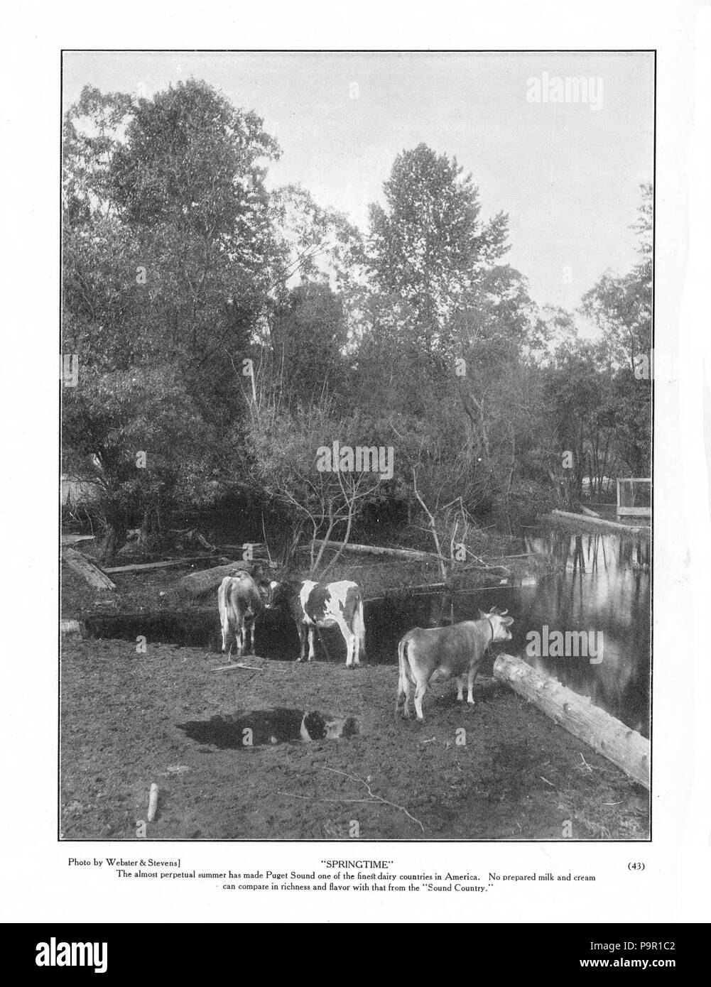 Page of yearbook Cut Out Stock Images & Pictures - Alamy