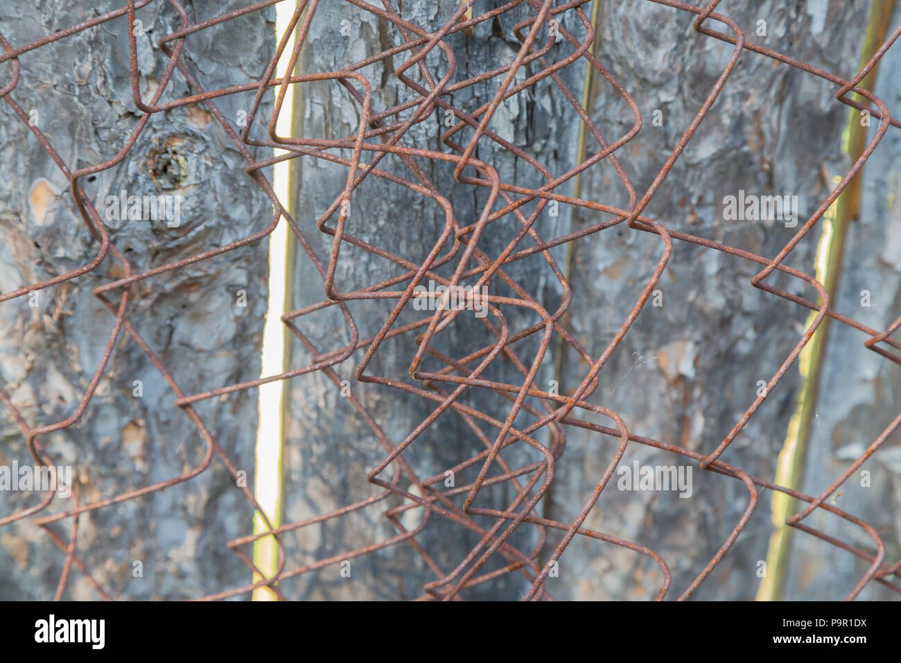 Iron mesh for fence with rust and paint Stock Photo - Alamy