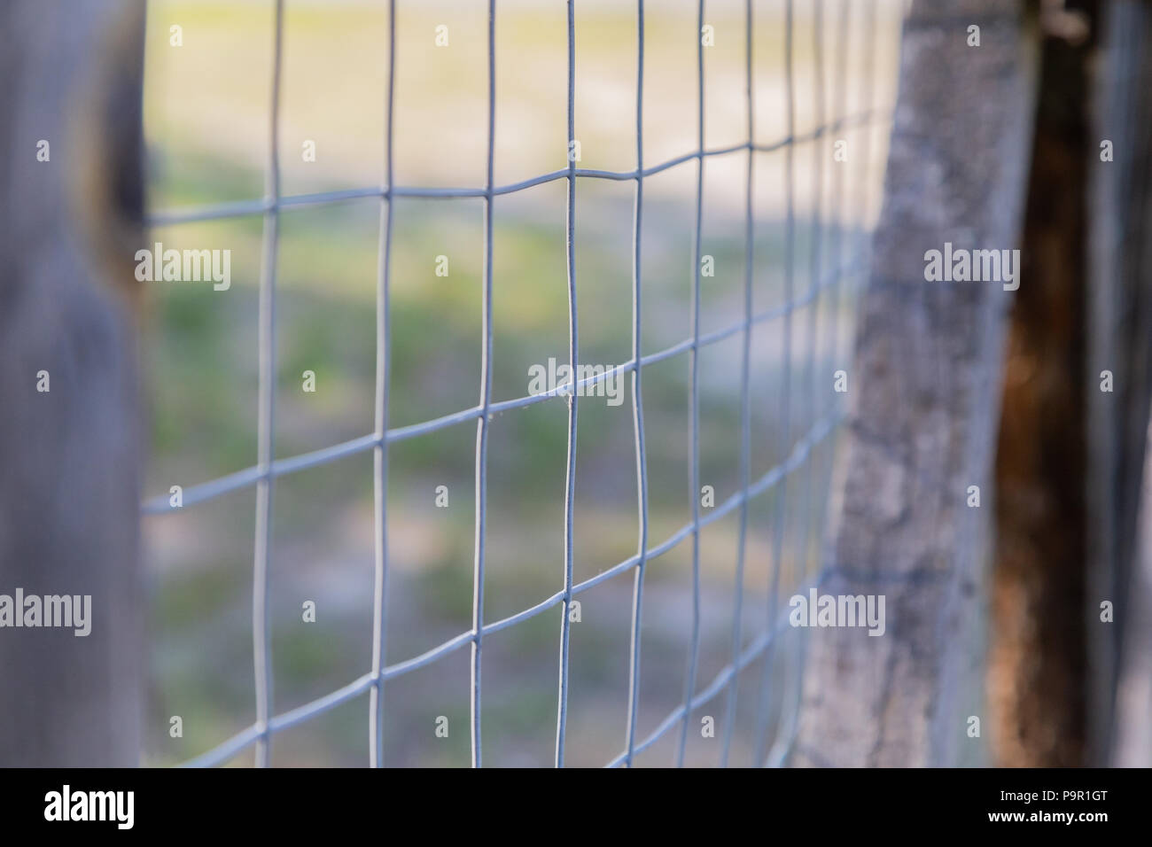 Iron mesh for fence with rust and paint Stock Photo - Alamy
