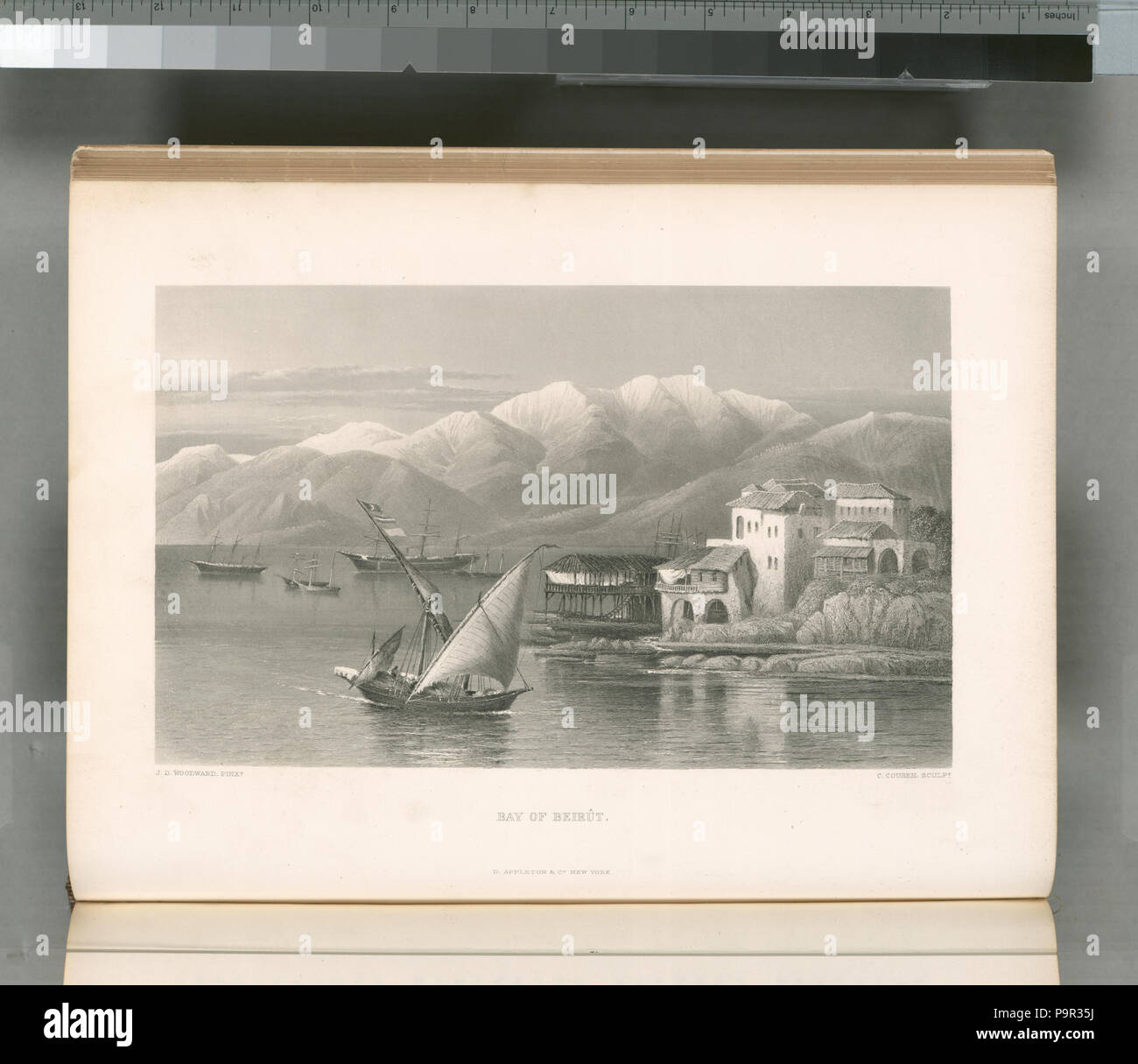 Beirut cityscape waterfront lebanon hi-res stock photography and images ...