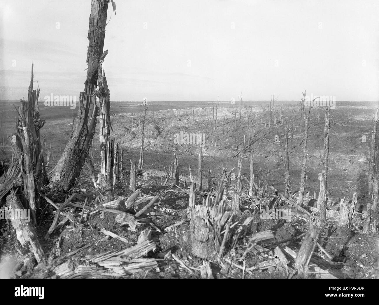 Beaumont hamel 1916 hi-res stock photography and images - Alamy