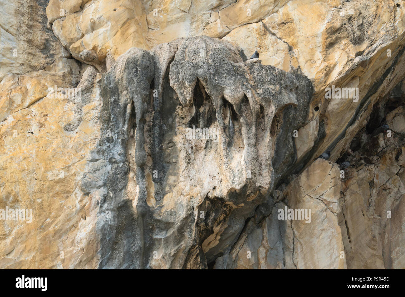 Rock mountain texture background for design. Real rock texture in ...
