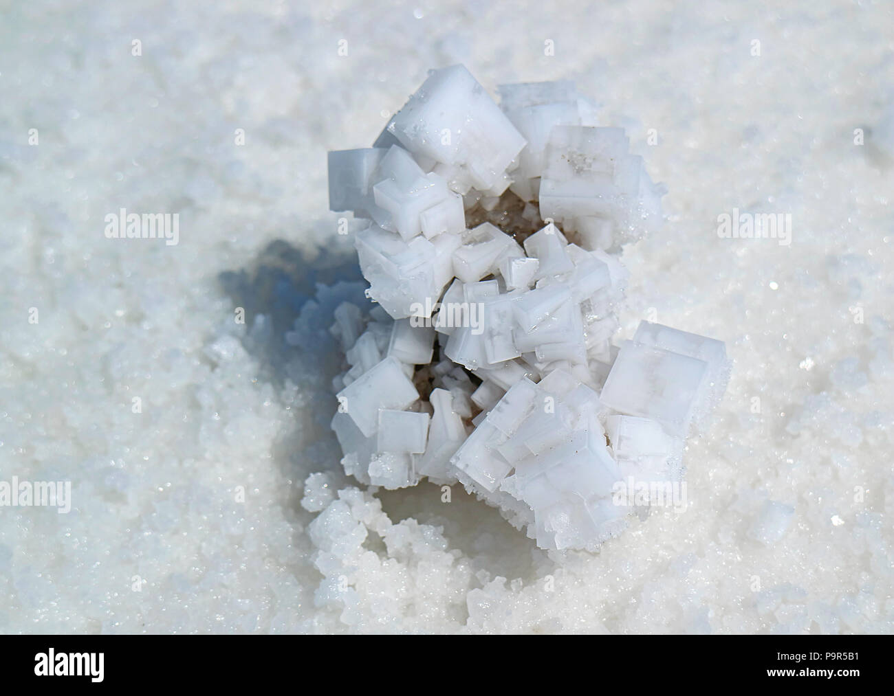 Close-up of natural salt crystals at the Salar de Uyuni Salt Flats ...