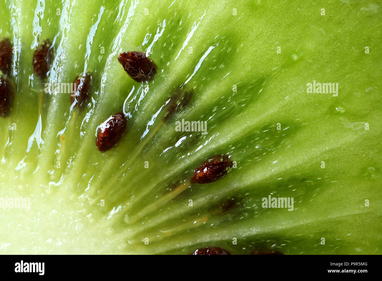 Macro Shot of Vibrant Green Fresh and Juicy Ripe Kiwi Fruit's Meat and ...