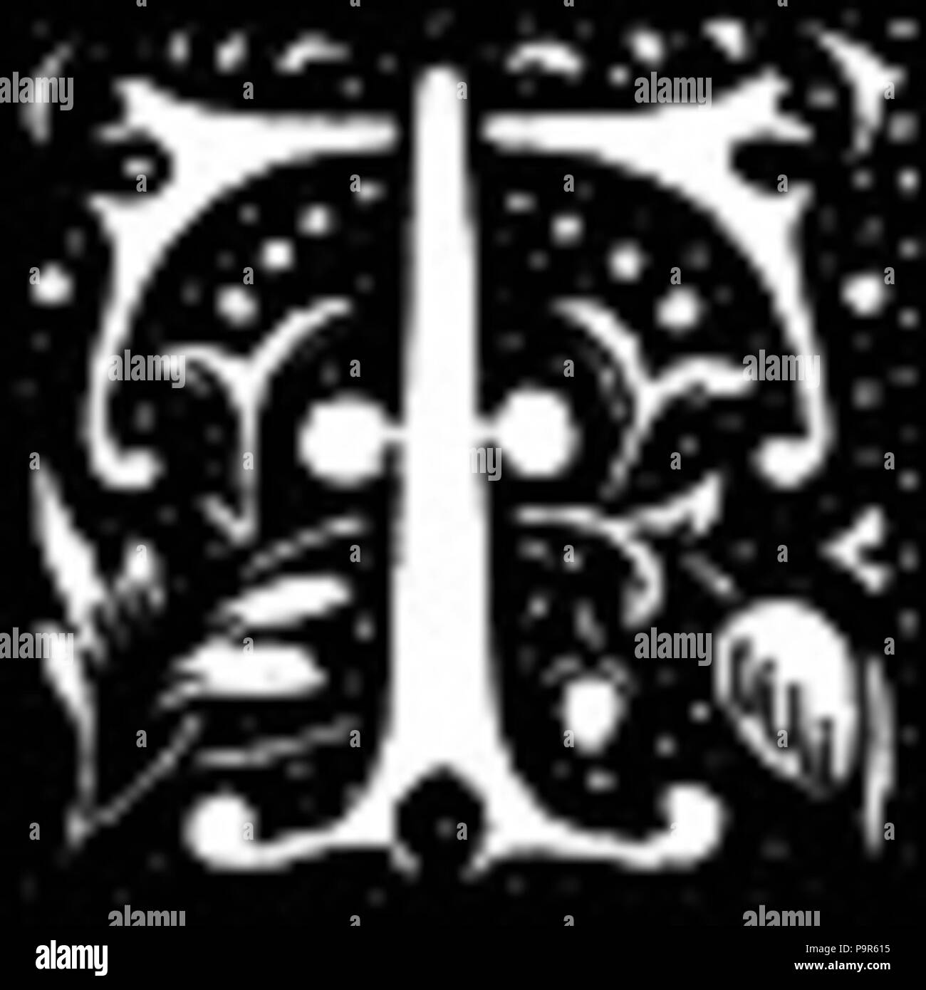 Black white photographic print is Black and White Stock Photos & Images ...