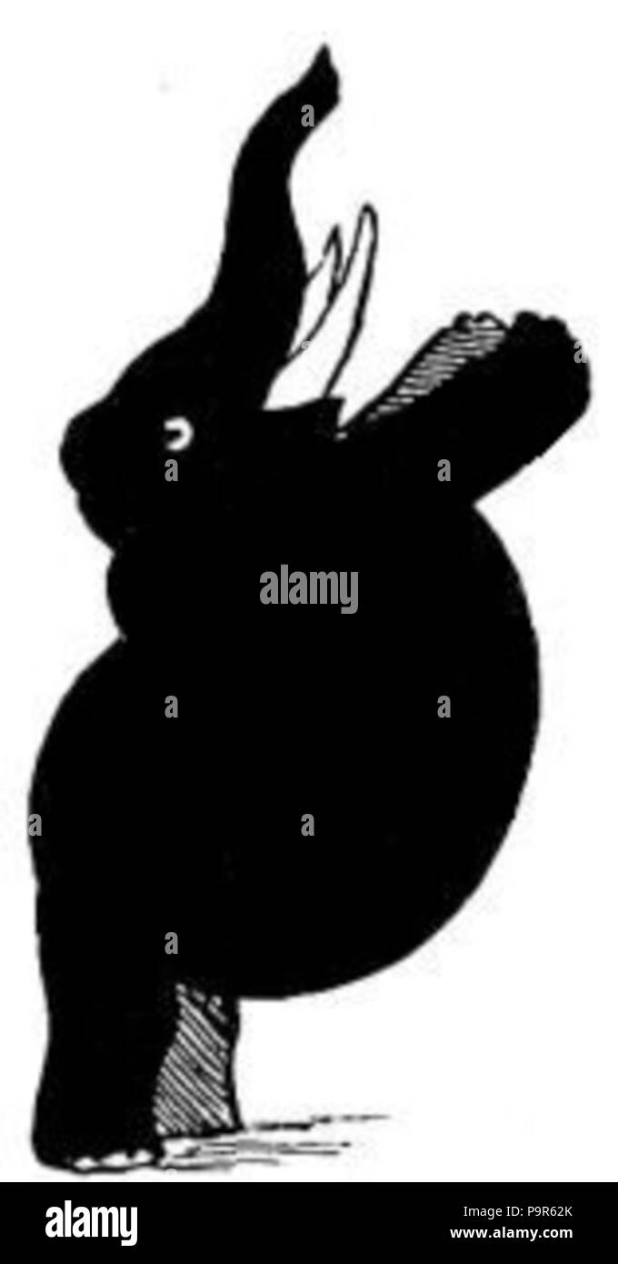 Black elephant hi-res stock photography and images - Alamy