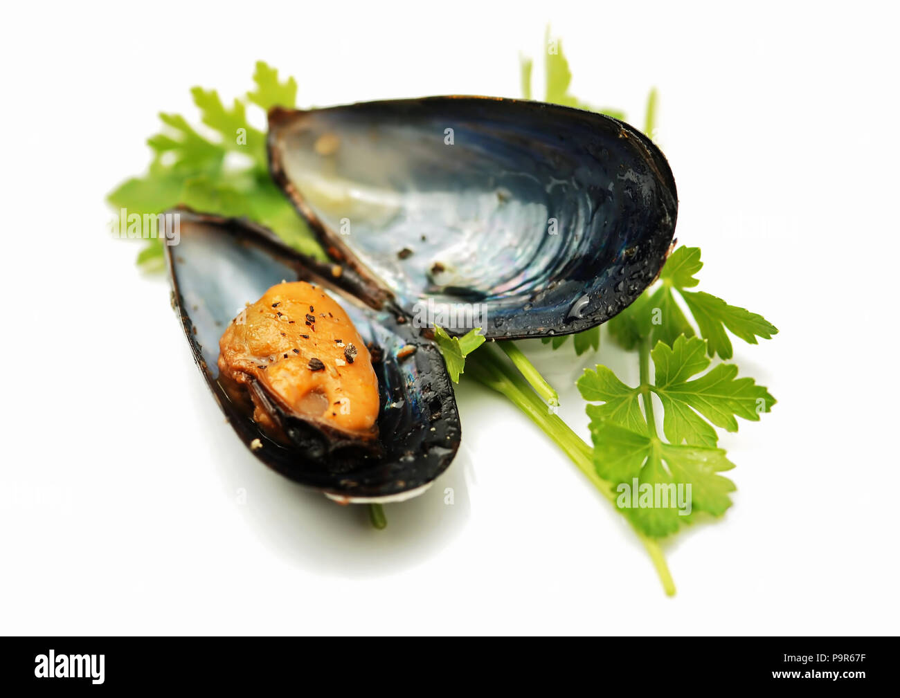 Mussel shells Cut Out Stock Images & Pictures - Alamy