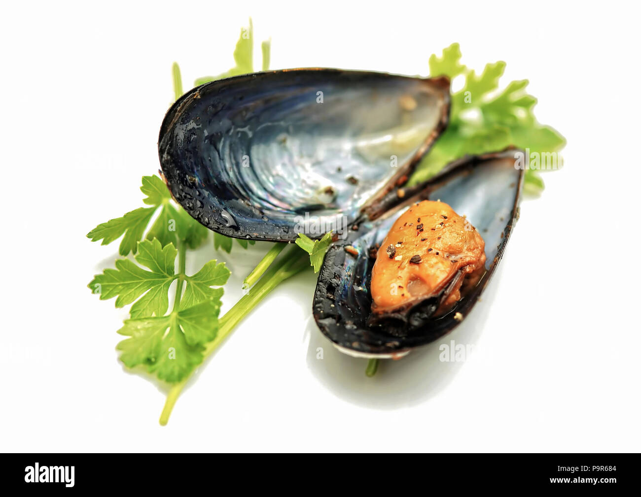 Open mussel on white background Stock Photo - Alamy