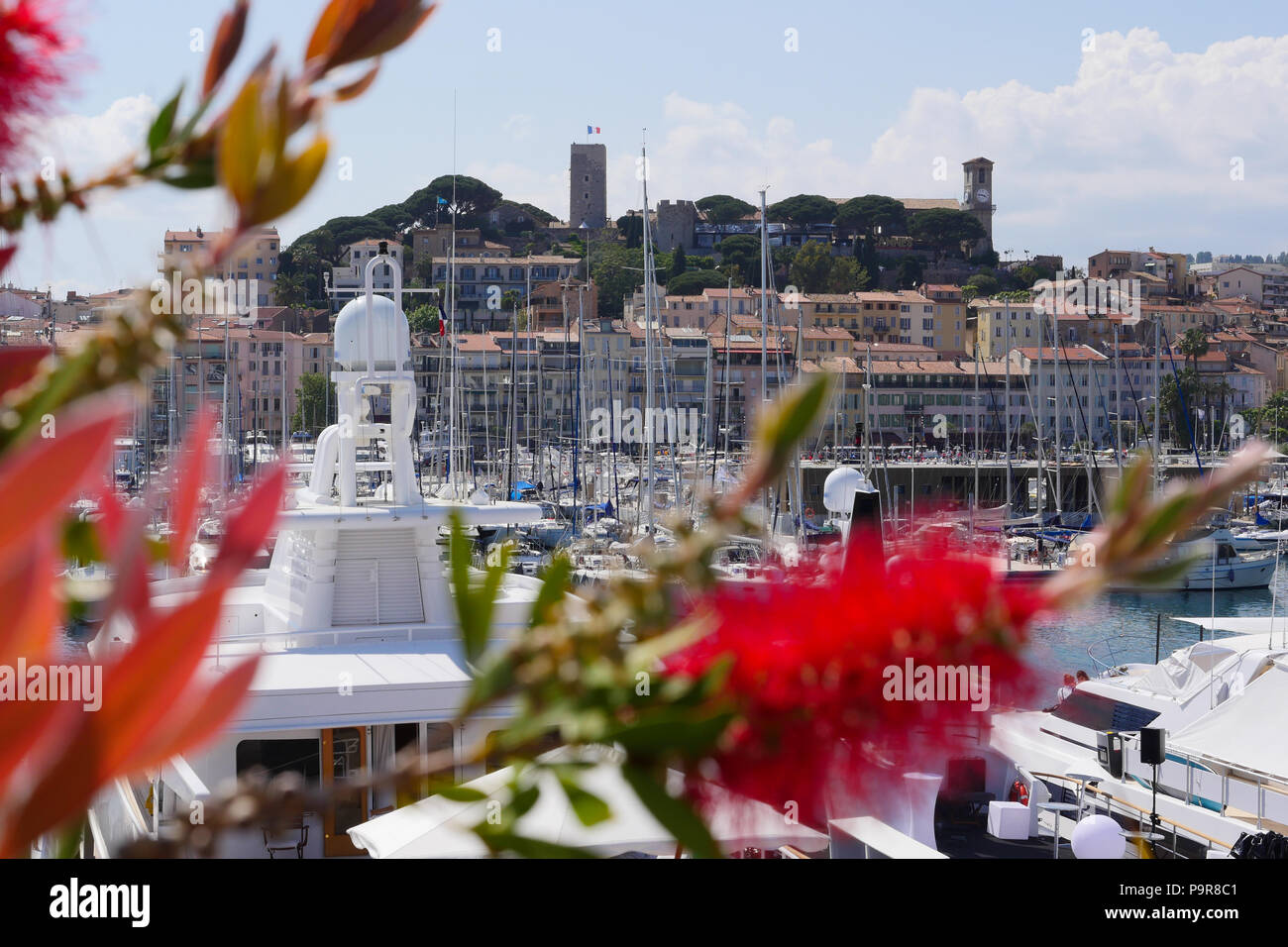 Picture of port of Cannes old city at the French Riviera, France Stock ...
