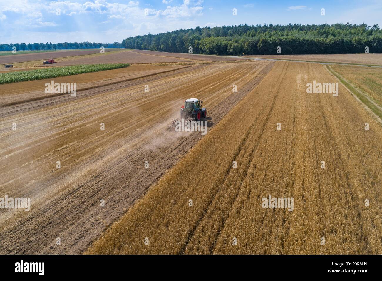 Tractor plowing field after harvesting. Farm works Stock Photo - Alamy