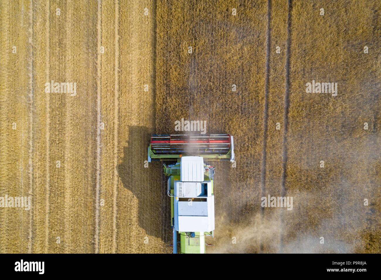 Aerial view of harvester combine working on field. Summer harvest. Farm ...
