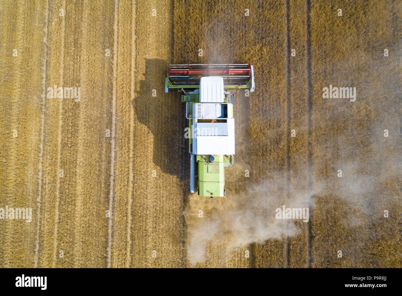 Aerial view of harvester combine working on field. Summer harvest. Farm ...