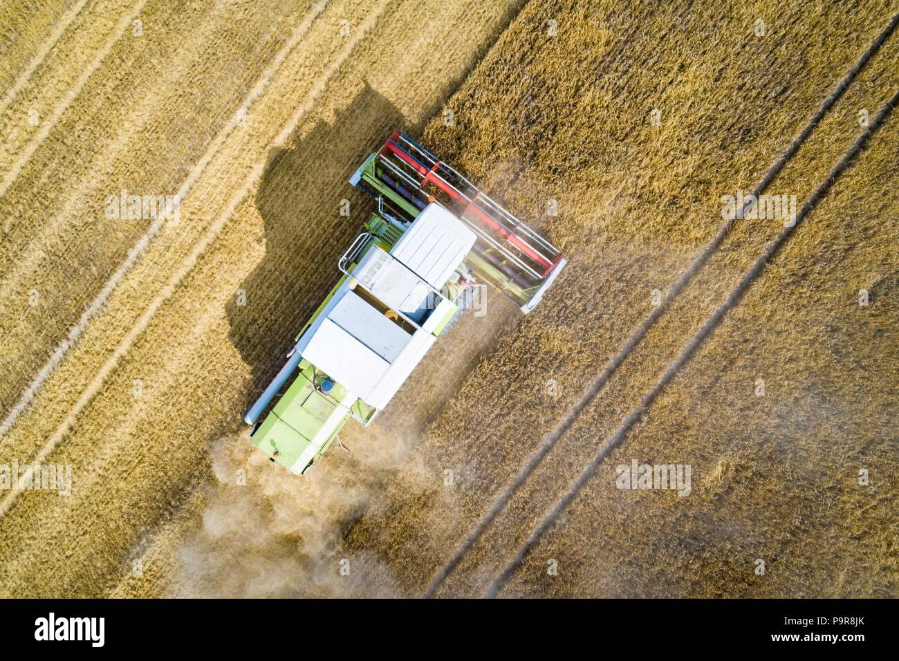 Aerial view of harvester combine working on field. Summer harvest. Farm ...