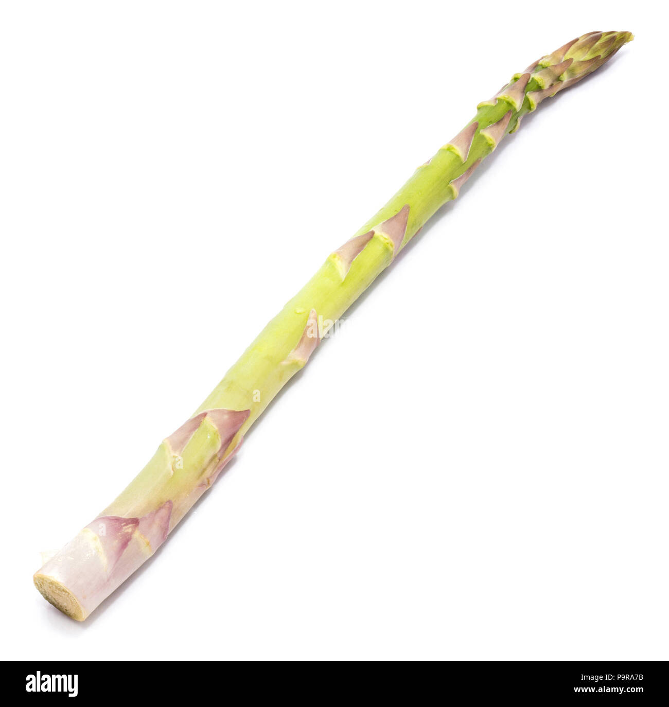 One raw asparagus isolated on white background Stock Photo - Alamy