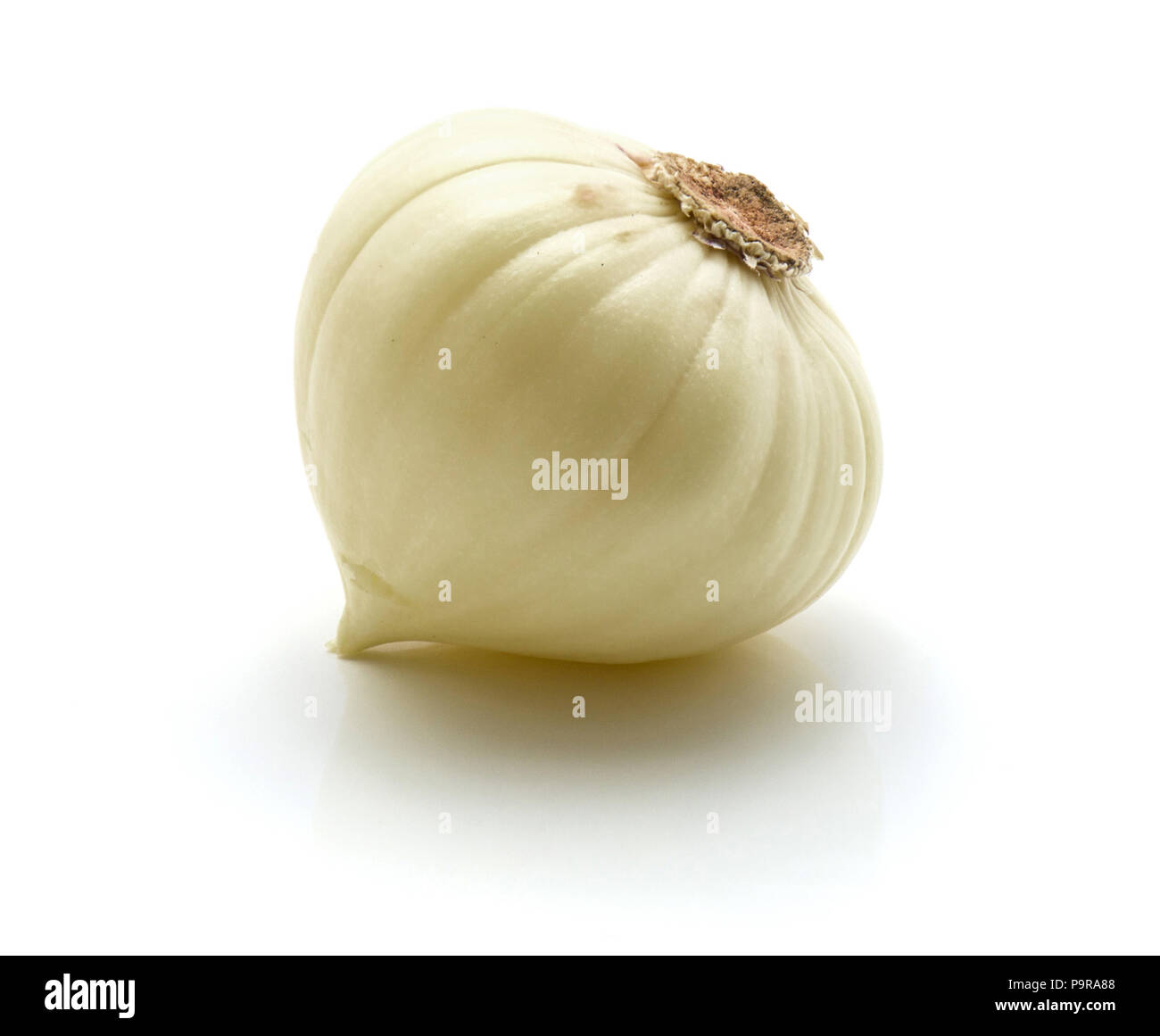 One whole peeled solo garlic isolated on white background Stock Photo ...