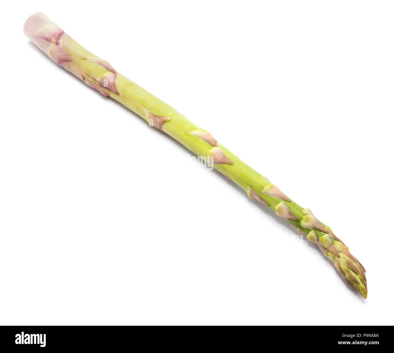 One raw asparagus isolated on white background Stock Photo - Alamy