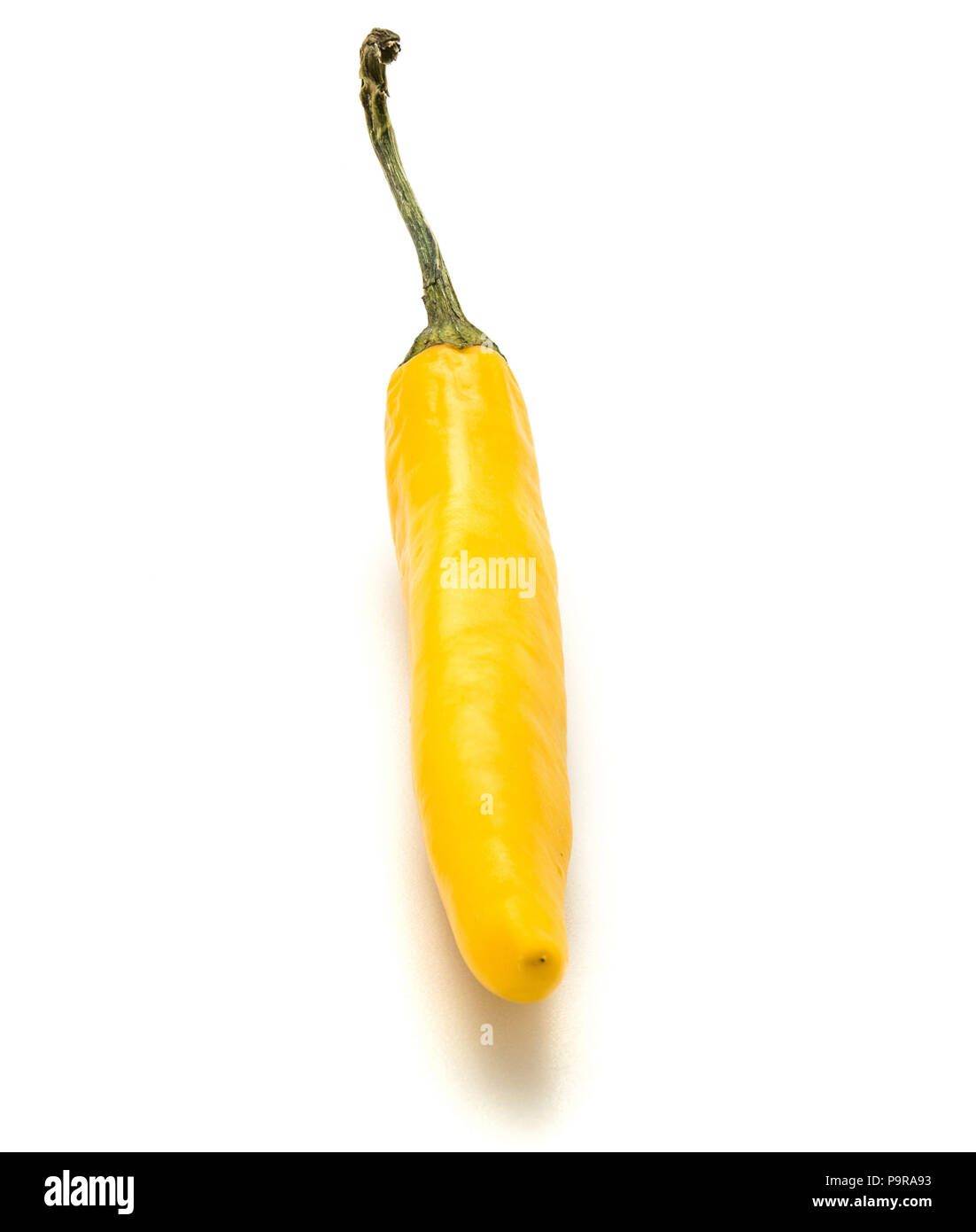 One yellow Chilli isolated on white background Stock Photo - Alamy