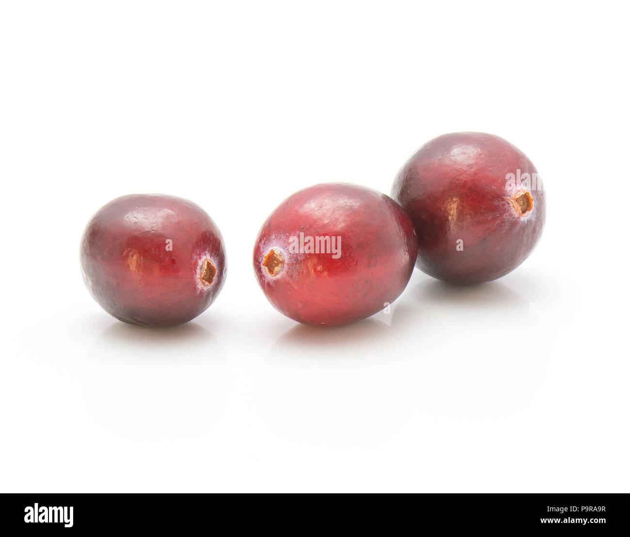 Cranberries close-up isolated on white background three whole Stock ...